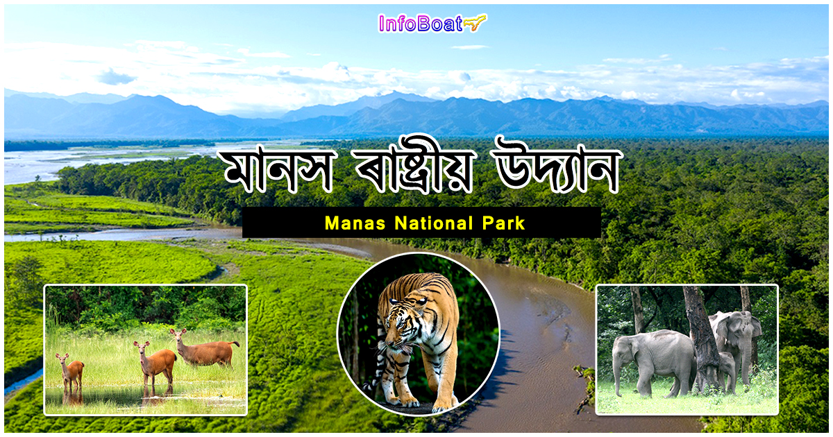Manas National Park : Tiger and the Conservation Journey